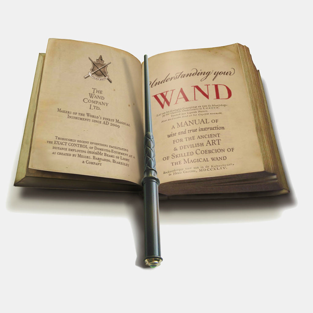 Magic Wand Remote Control